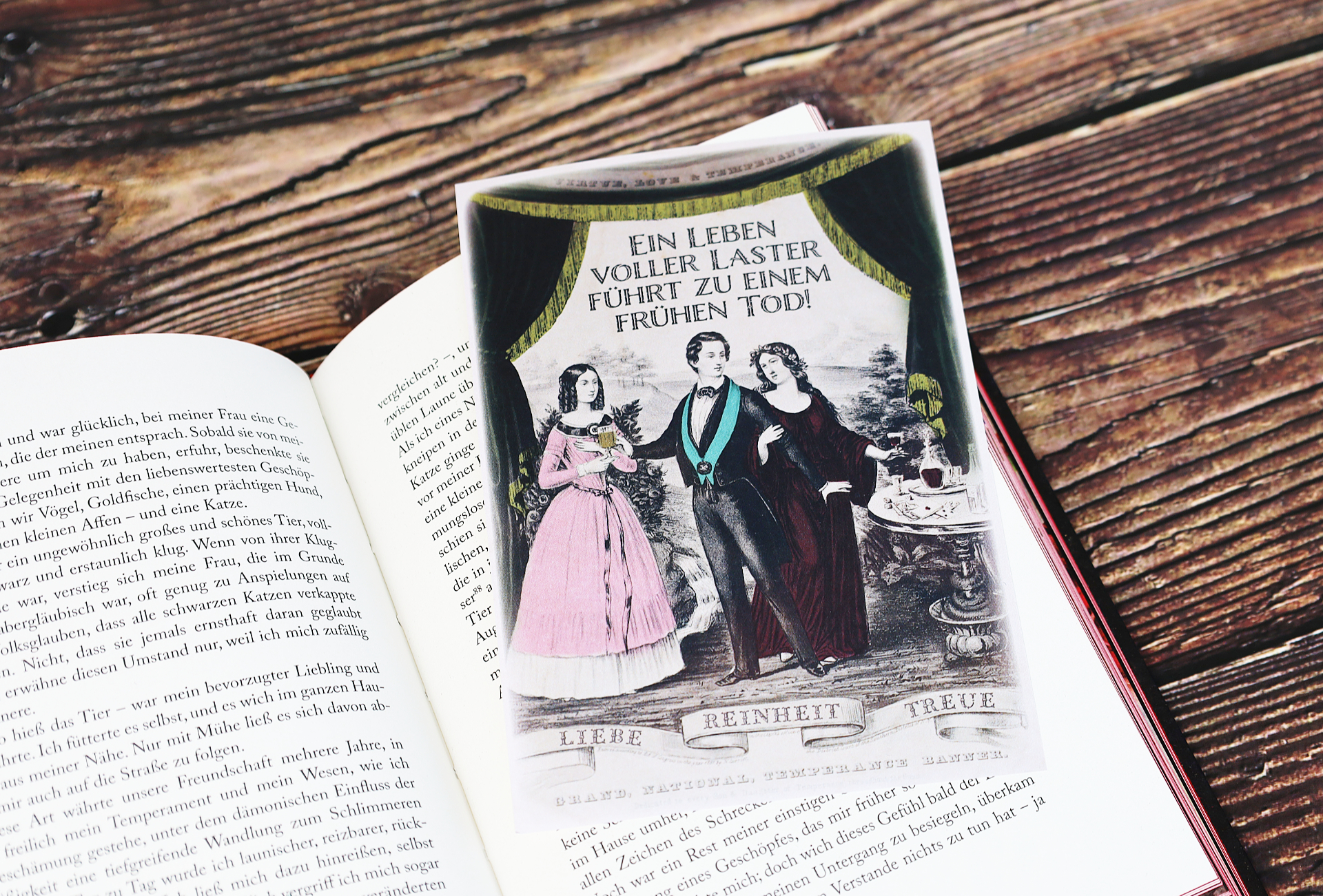 The Fall of the House of Usher • Edgar Allan Poe – lesestunden